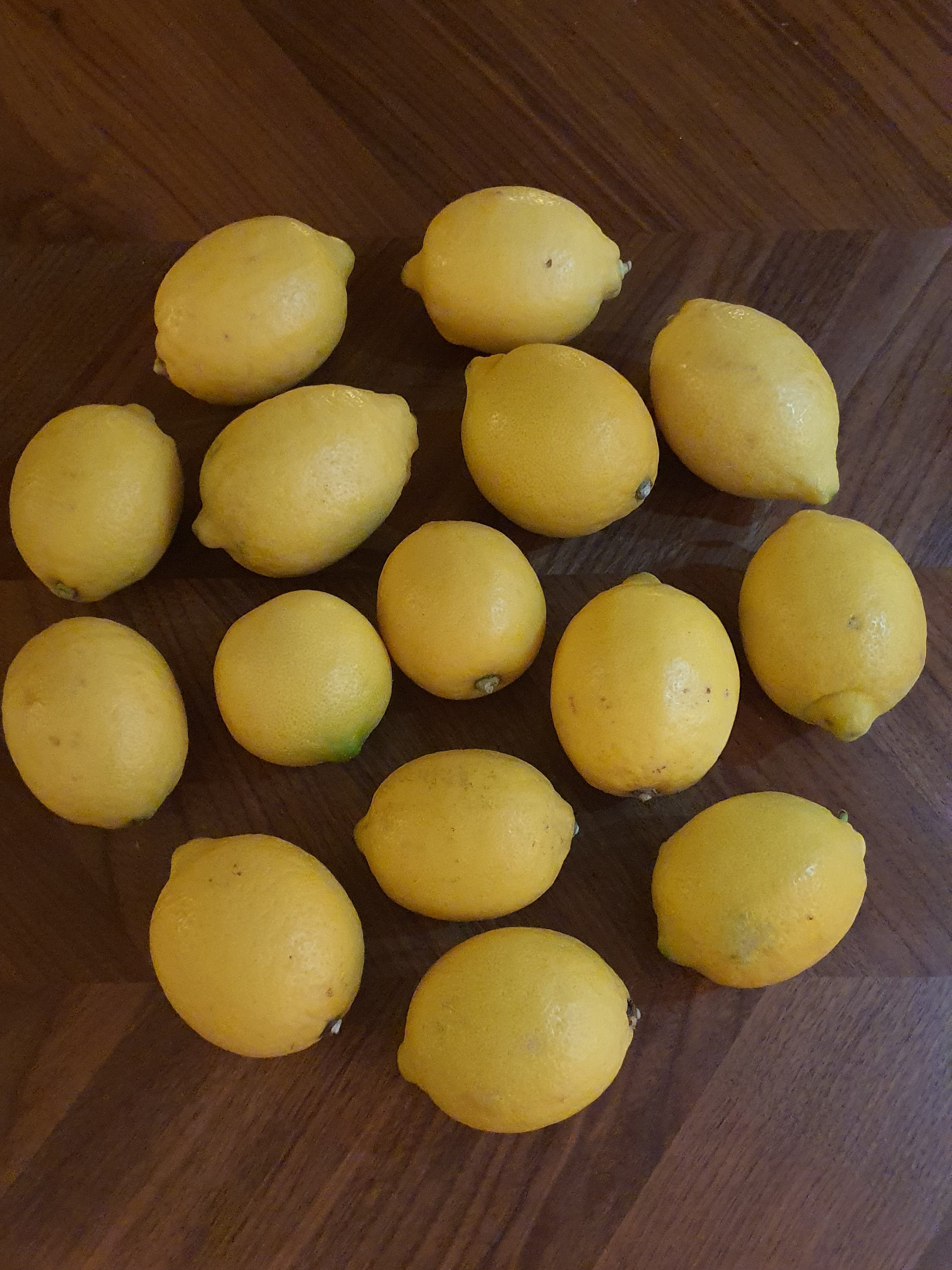 This will change your life – Robin Heinen