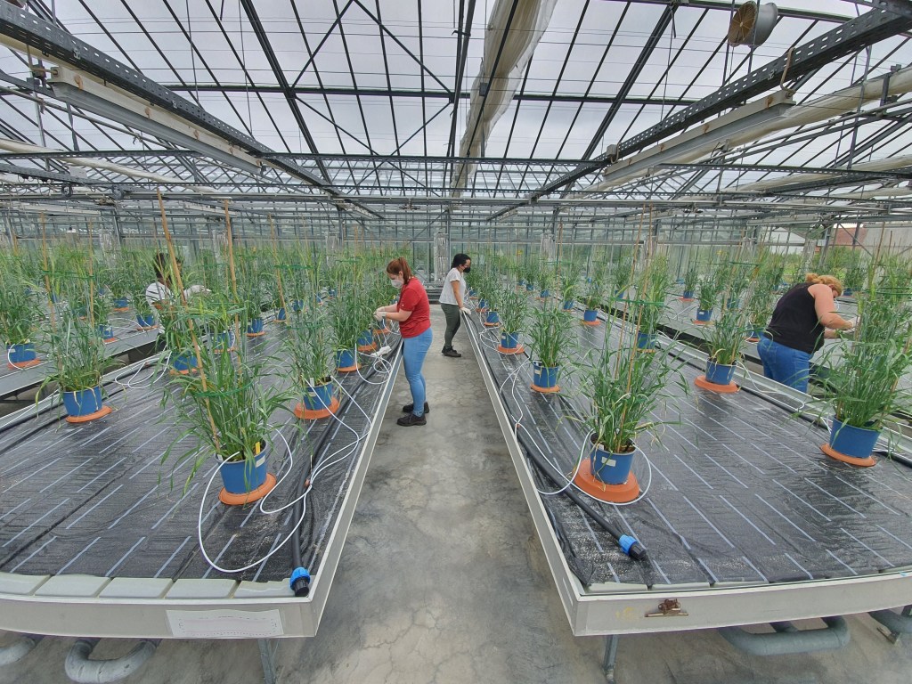 The power of team work – Robin Heinen