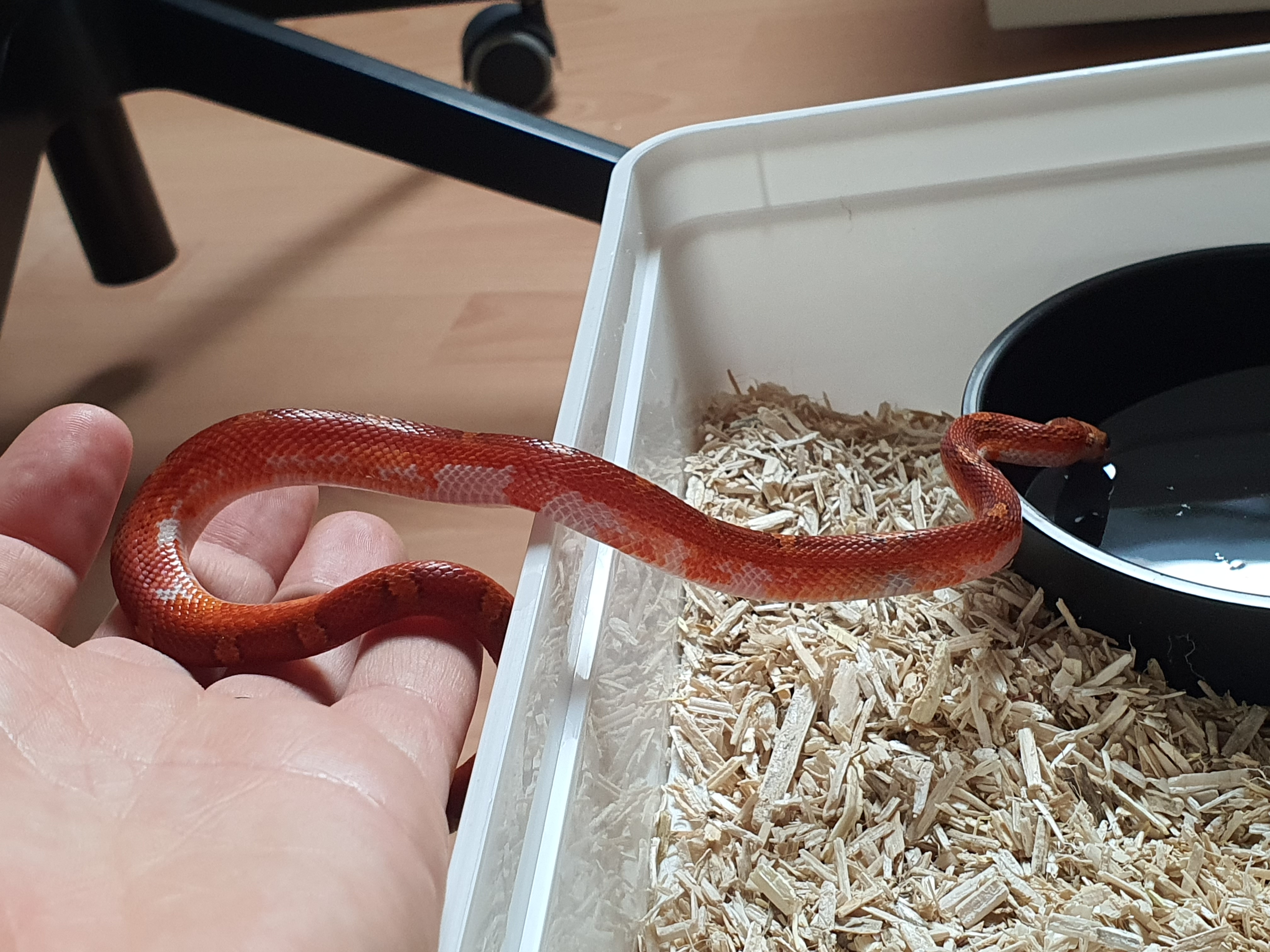 Celebrating ‘absolutely nothing’ in style – Robin Heinen