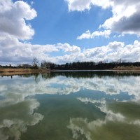 That’ll do – Robin Heinen