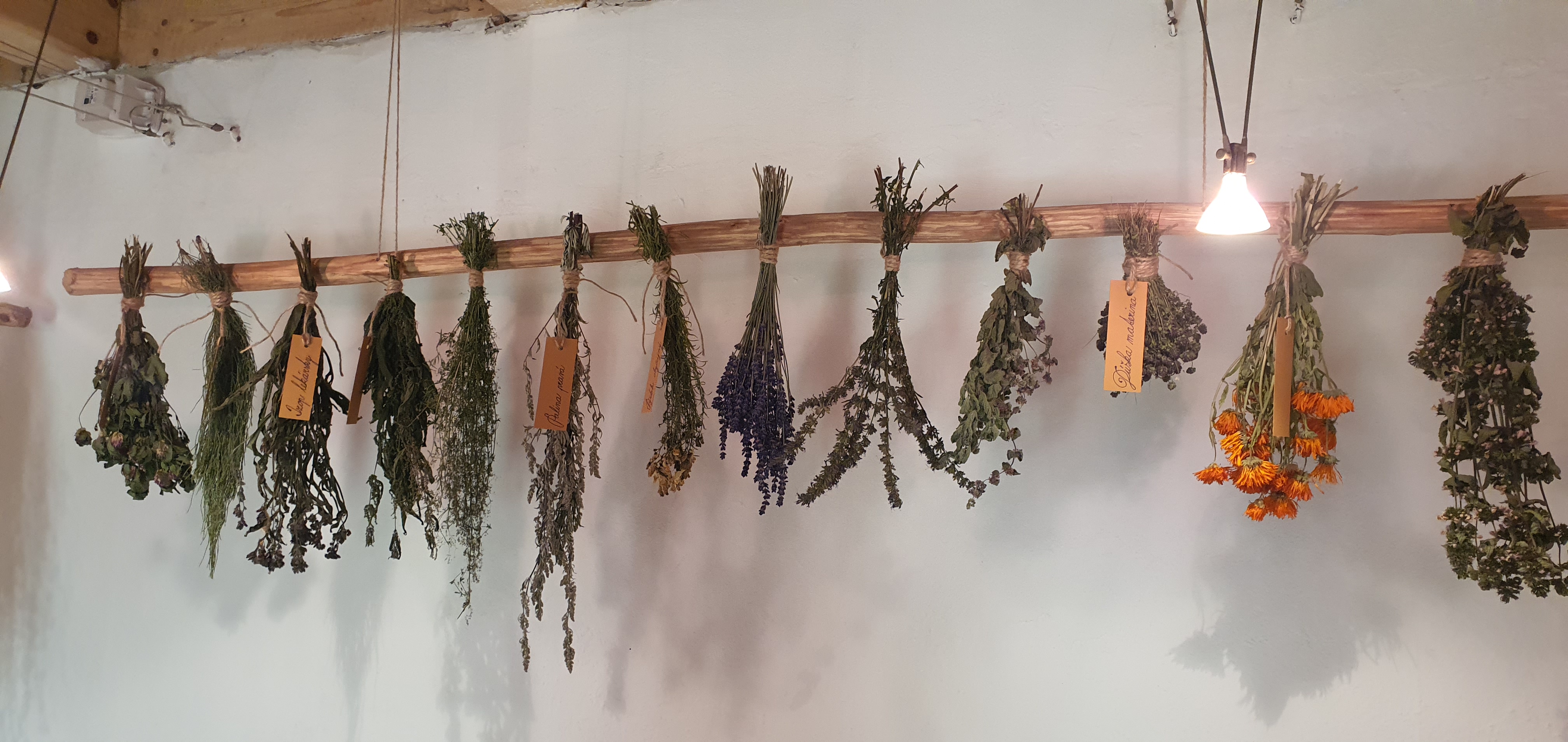 Tea, medicine, or work – Robin Heinen