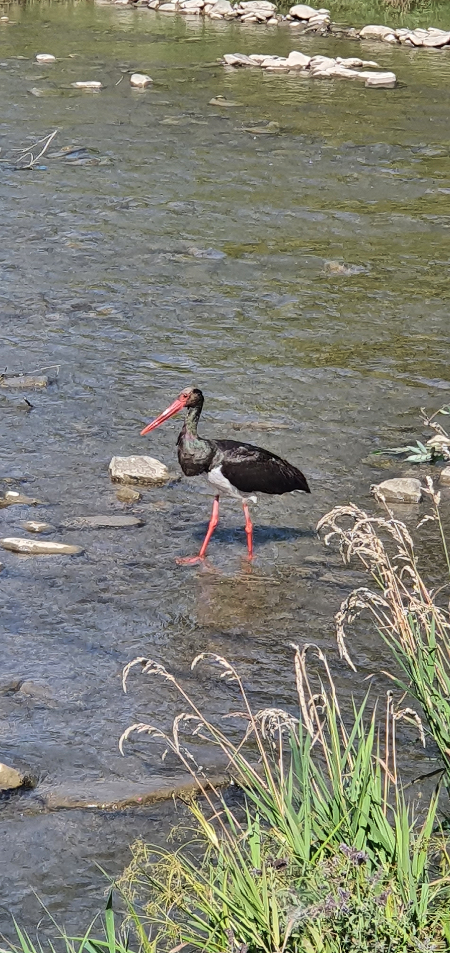 A perfect score – Robin Heinen