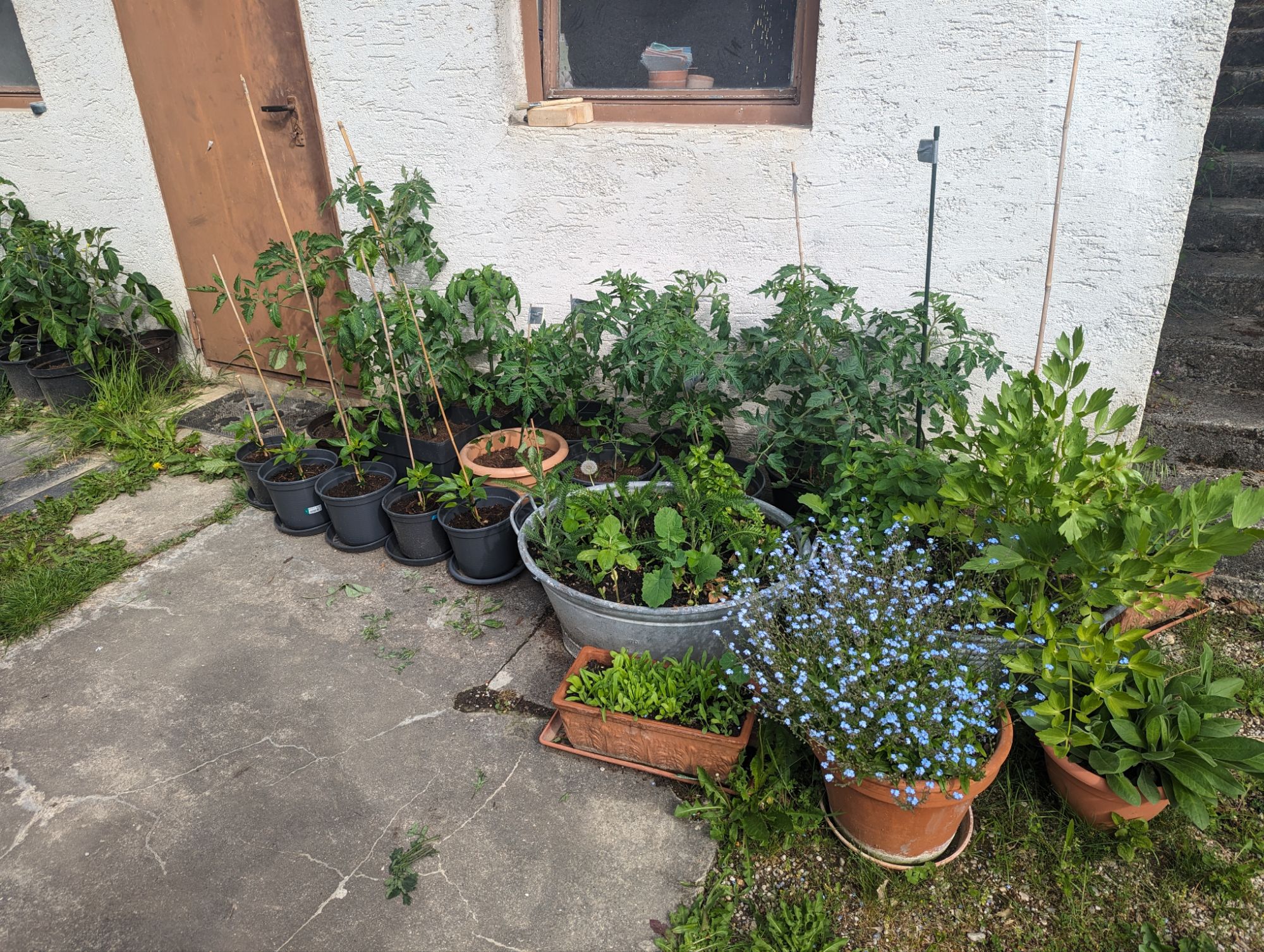 Restraints – Robin Heinen