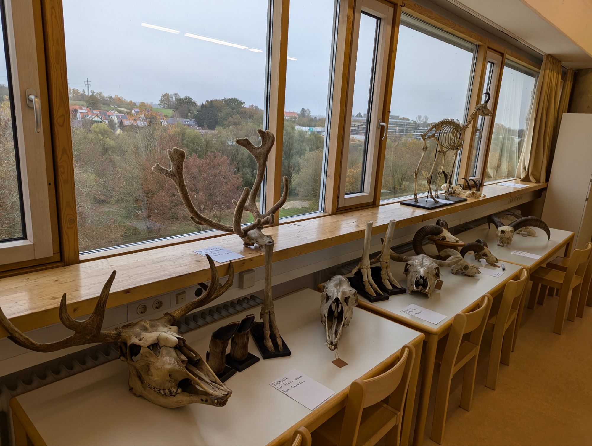 My week in ecology – 01 November 2024 – Robin Heinen