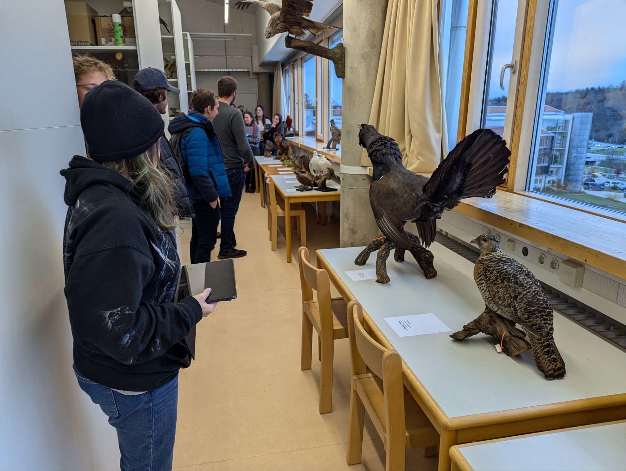 My week in ecology – 24 November 2024 – Robin Heinen